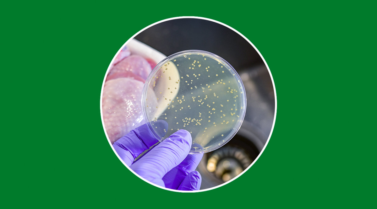 Contaminación biológica: qué es y cómo daña el medioambiente