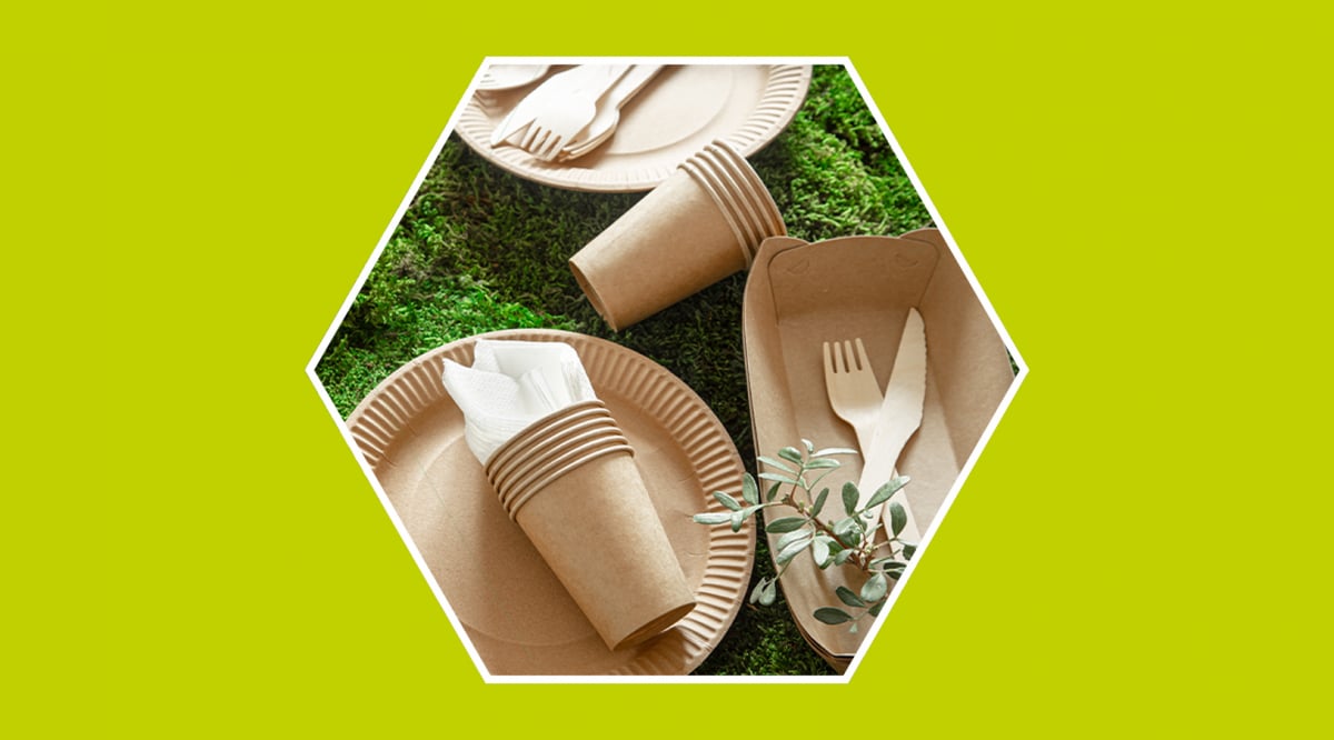 Biodegradable y No Biodegradable: Diferencias e Impacto